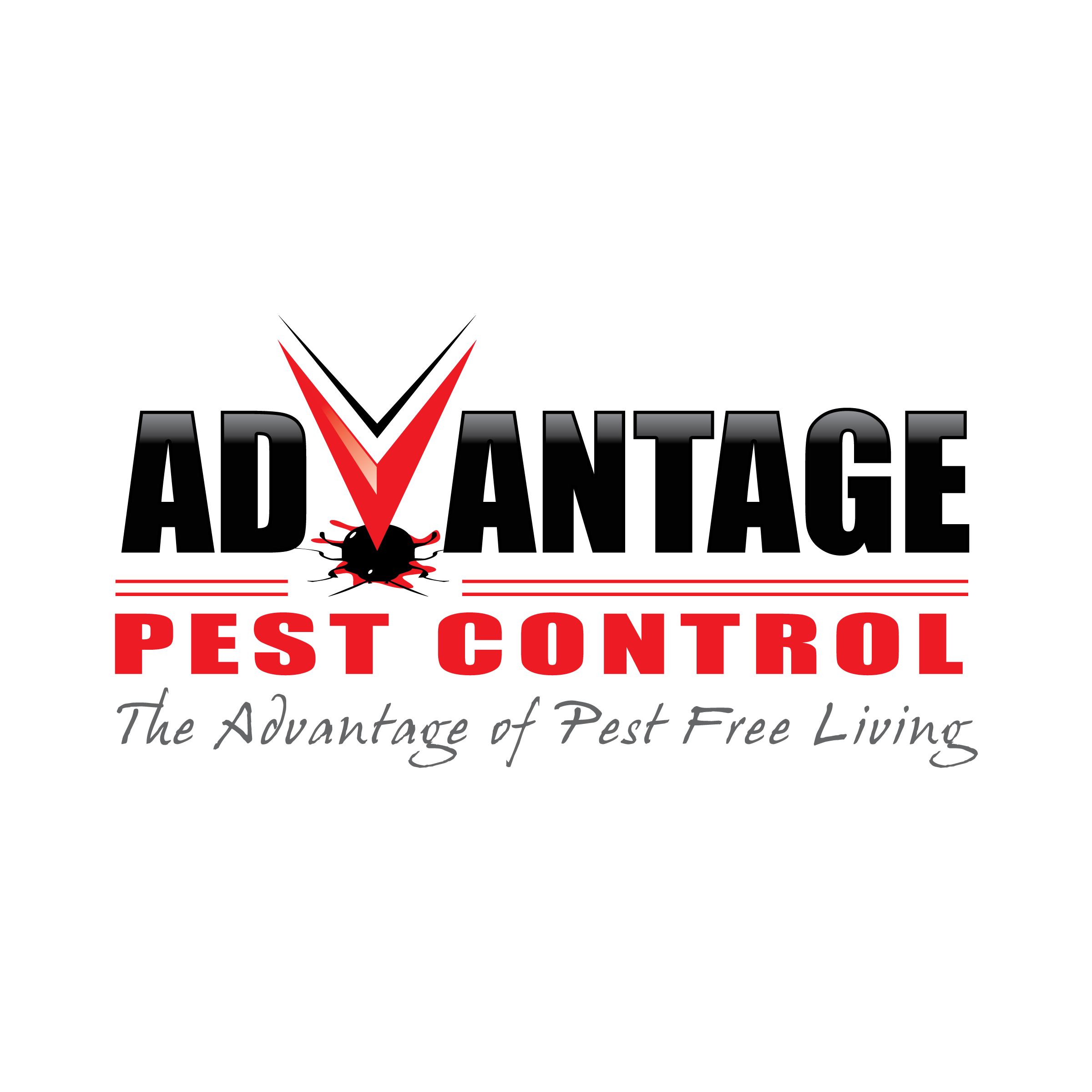 Pest Pest Control Near Me