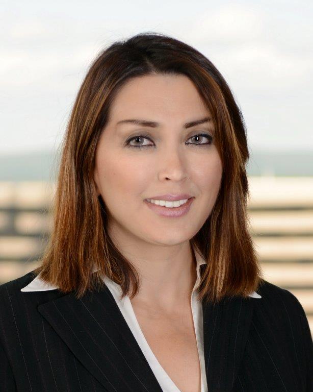 H. Gul Aslan - Financial Advisor in Farmington, CT 06032 | Merrill