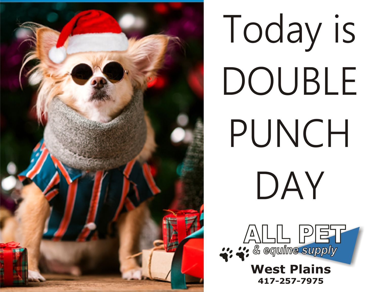 Double Punch Day Dec 2023 - All Pet & Equine Supply
