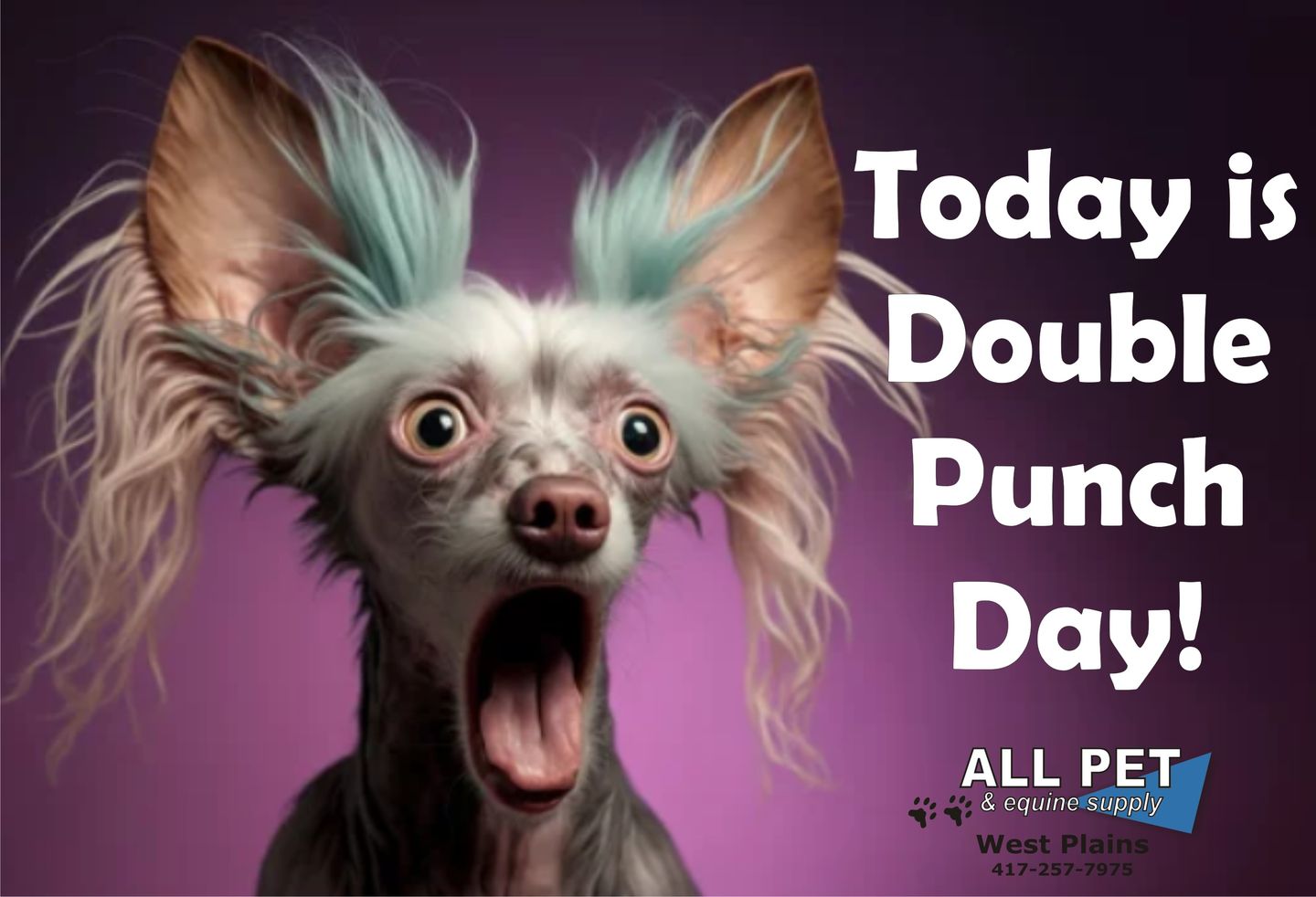 Double Punch Day May 2024 - All Pet & Equine Supply