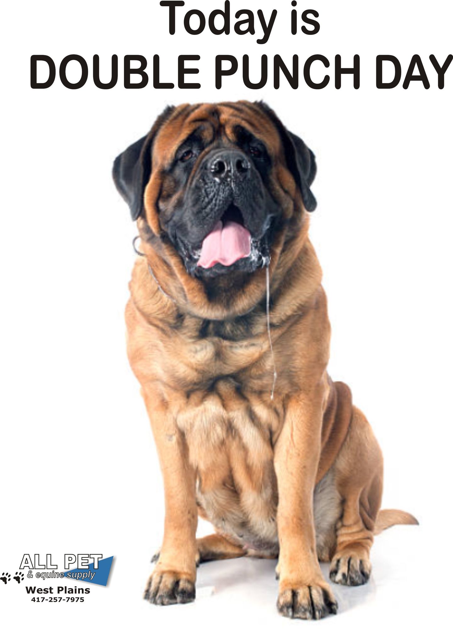 Double Punch Day May 2023 - All Pet & Equine Supply