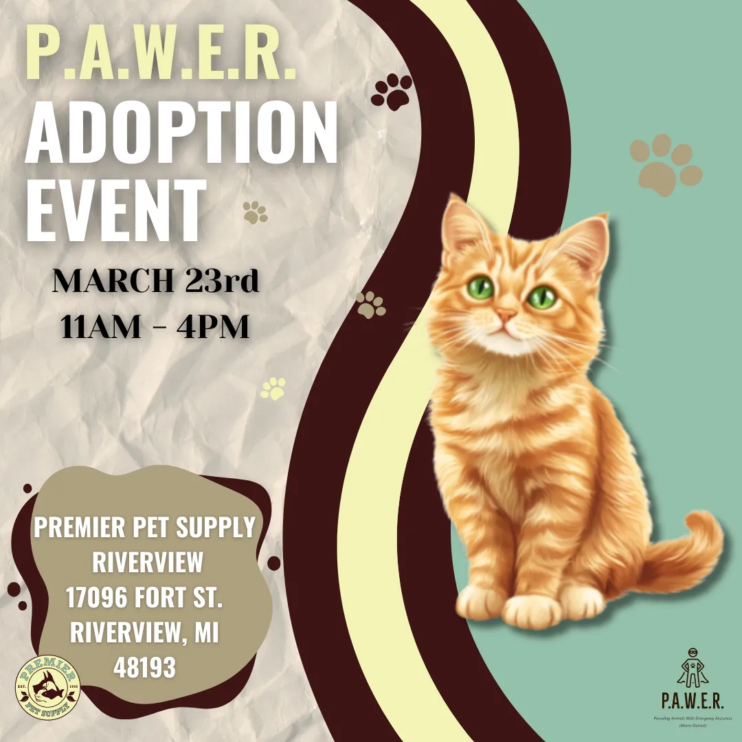P.A.W.E.R. ADOPTION EVENT | RIVERVIEW - Premier Pet Supply