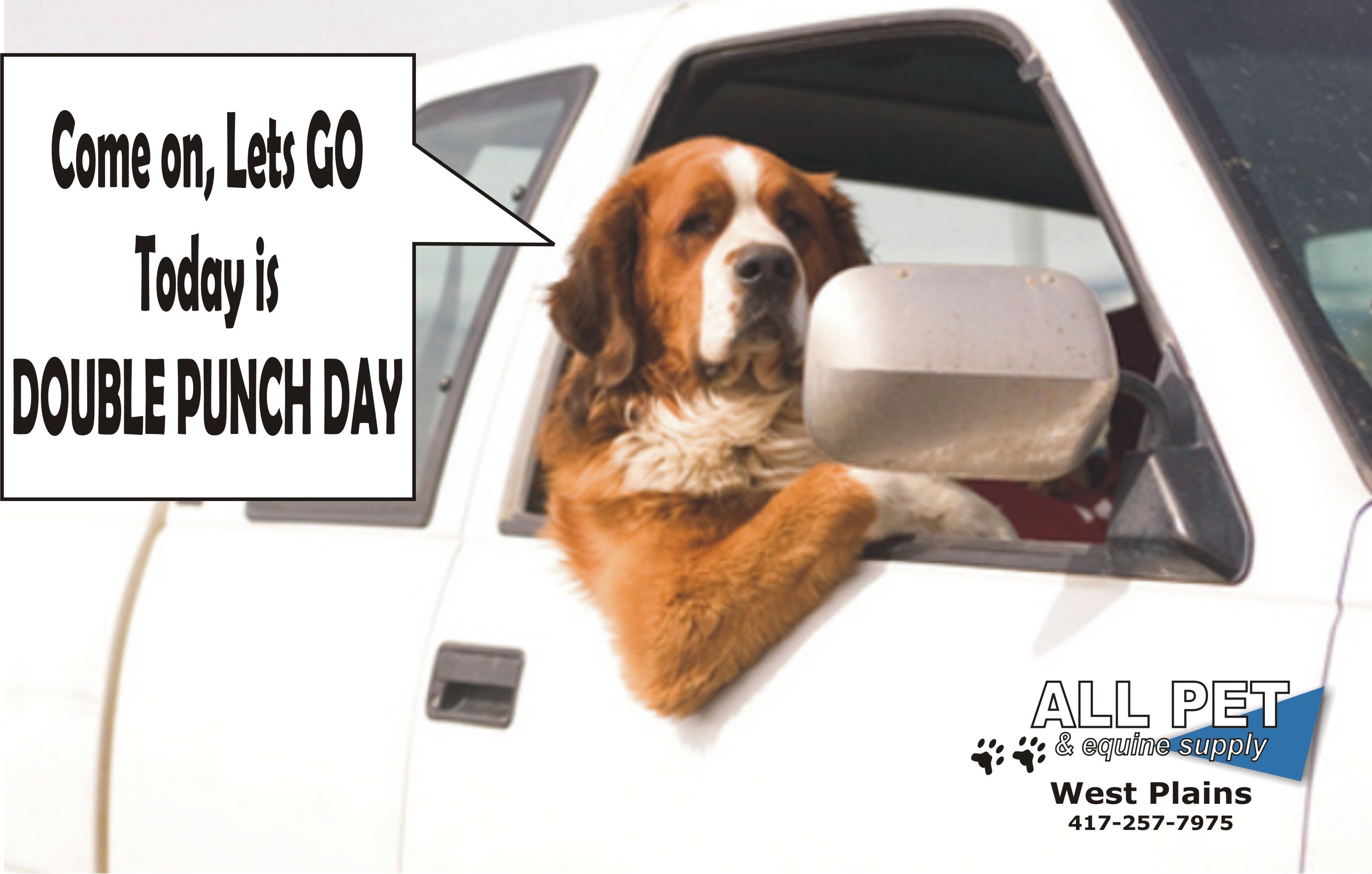 Double Punch Day April 2022 - All Pet & Equine Supply