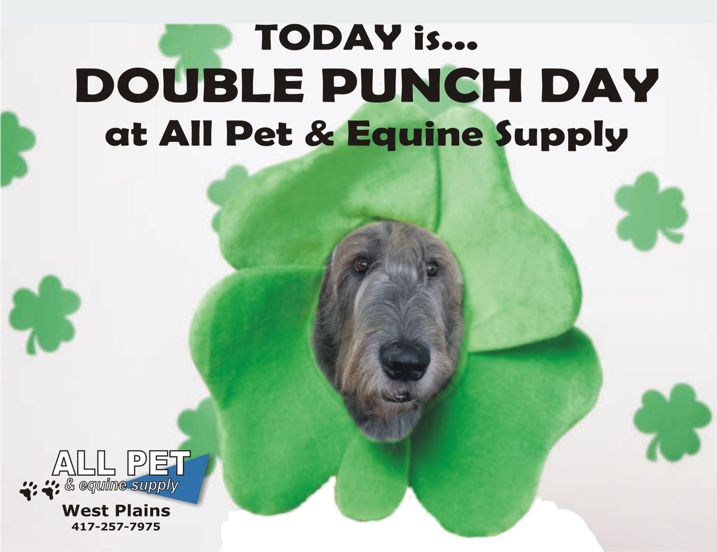 March 2023 Double Punch Day - All Pet & Equine Supply