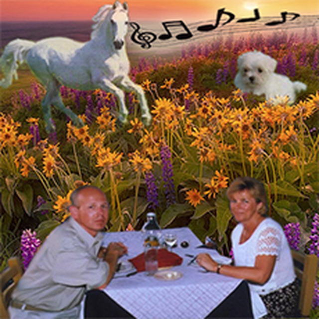 Conceptual Graphics England - Graphic Designers in Hornchurch RM11 2DX ...