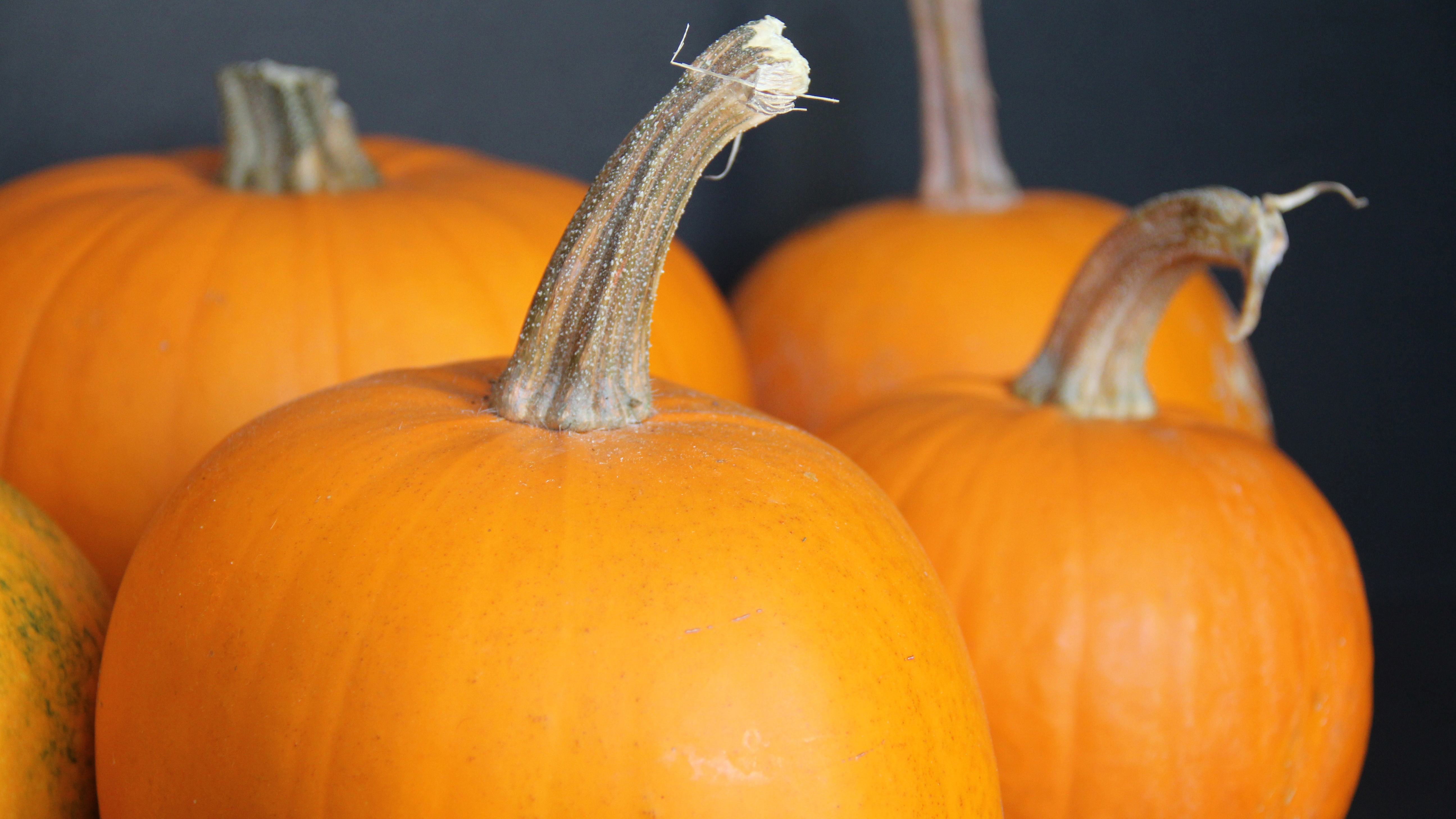 MWC YSA Thanksgiving Craft Night - The Church of Jesus Christ of Latter ...