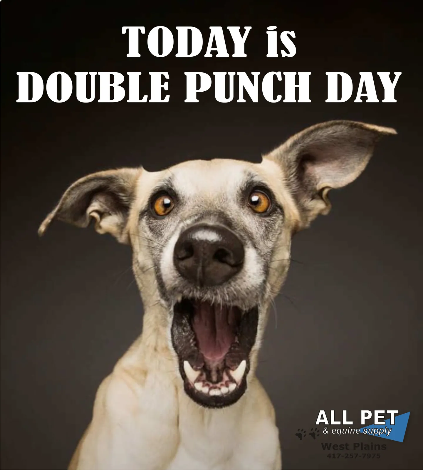 Double Punch Day July 2024 - All Pet & Equine Supply