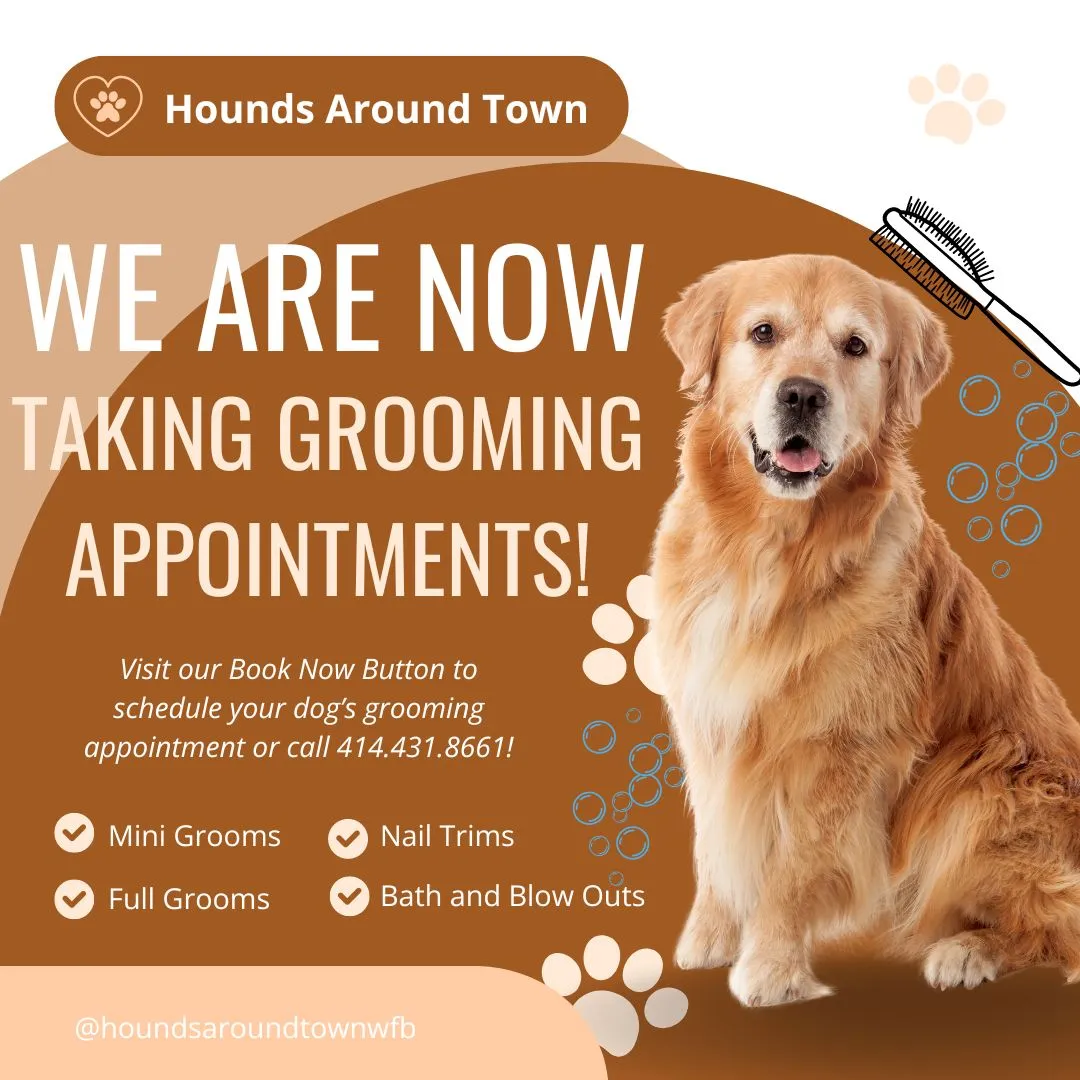 Walk In Nail Trims For $5 Off - Hounds Around Town