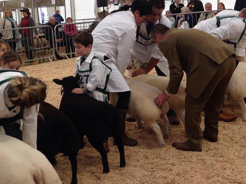 Penparc Livestock - Farming (livestock) in Carmarthen SA33 4BA - 192.com