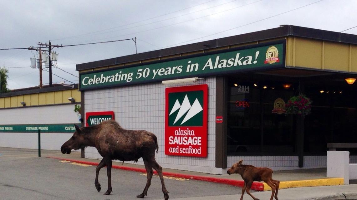 Alaska Sausage & Seafood | Anchorage, Alaska