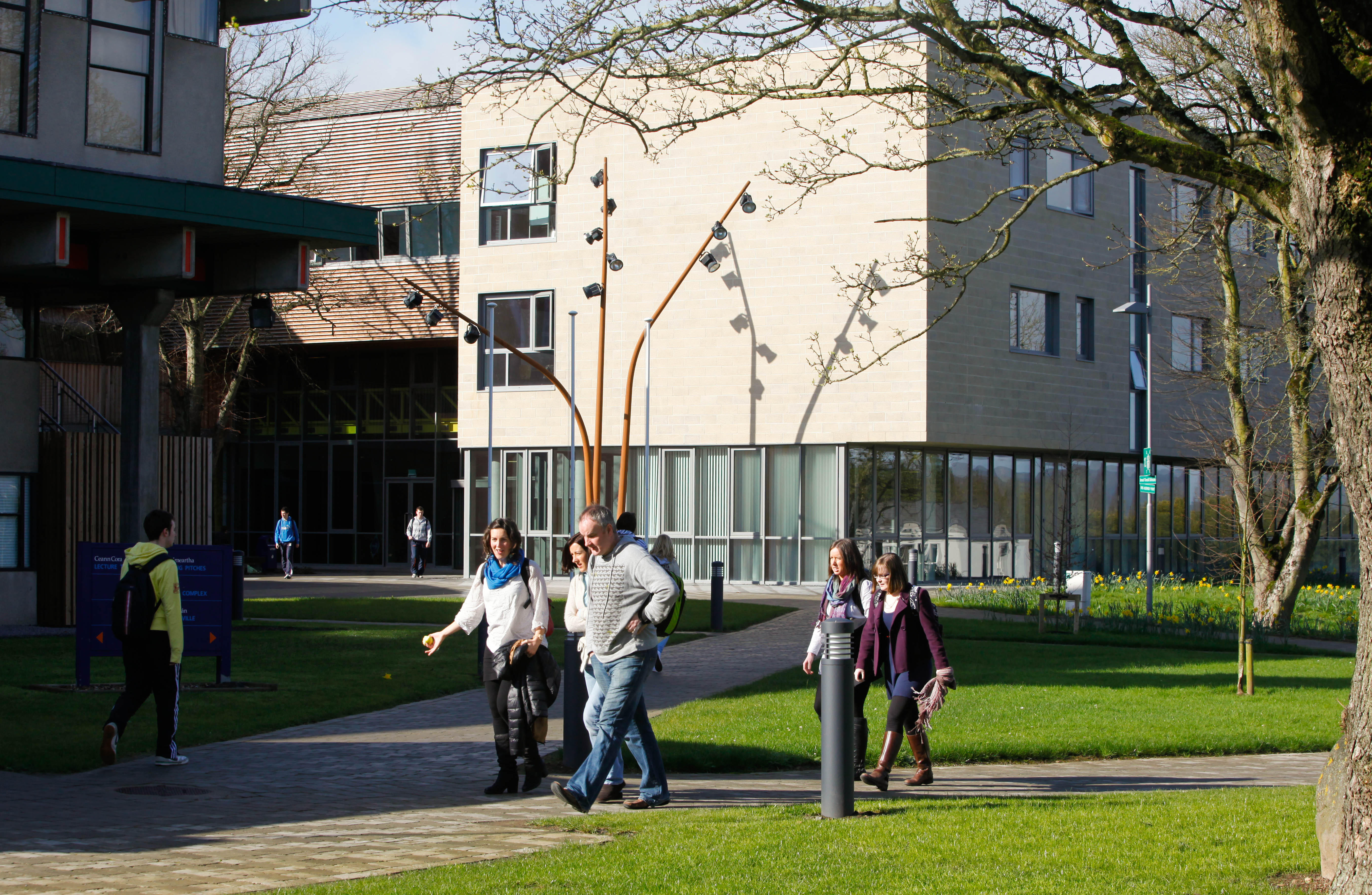 Mary Immaculate College in Thurles | Universities | goldenpages.ie