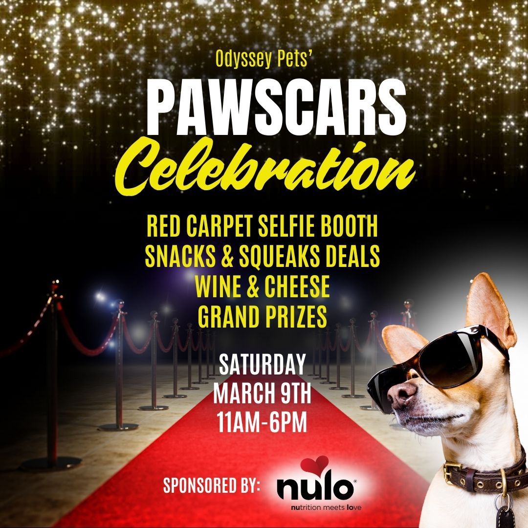 Pawscars Celebration - Odyssey Pets