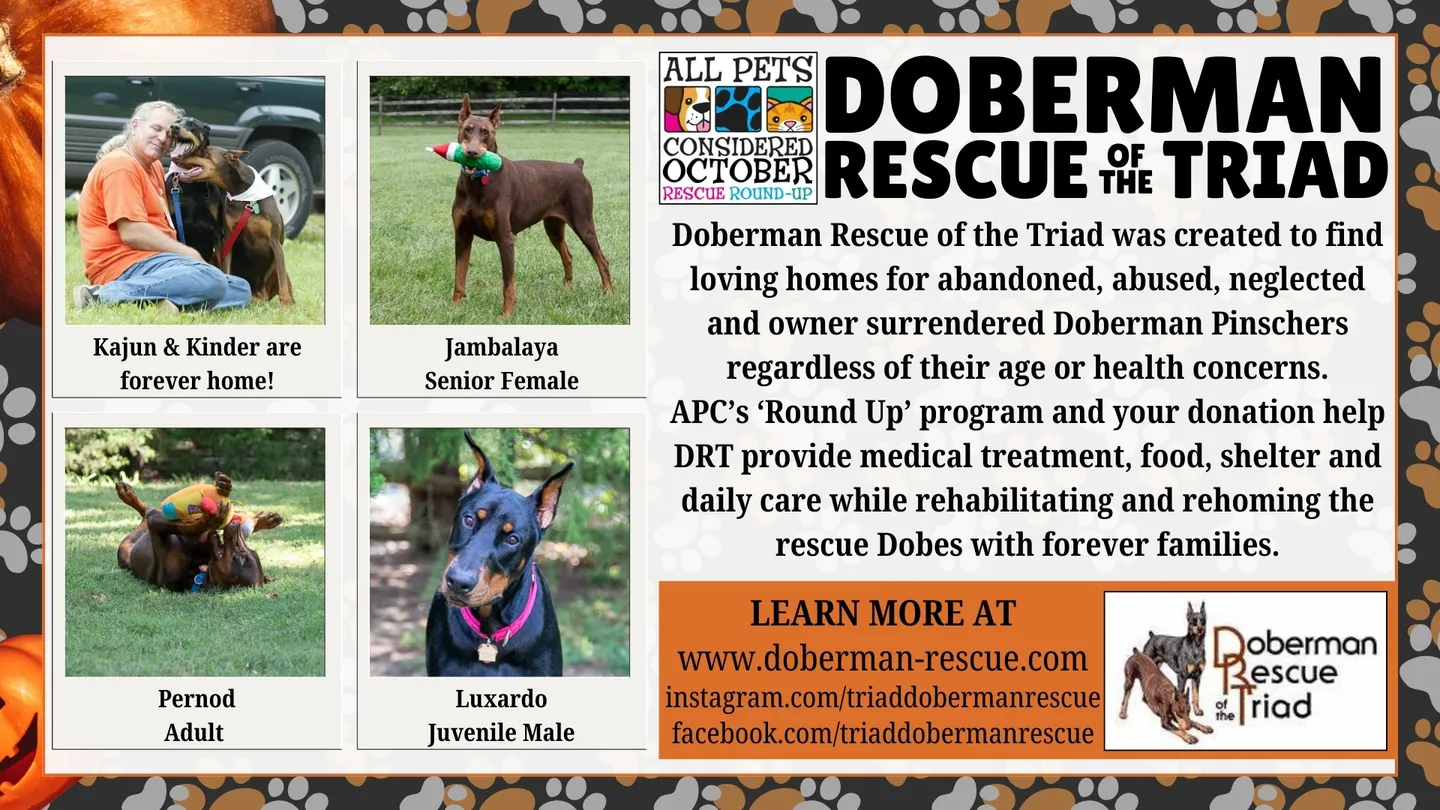 APC October Rescue Round-Up Of The Month - All Pets Considered
