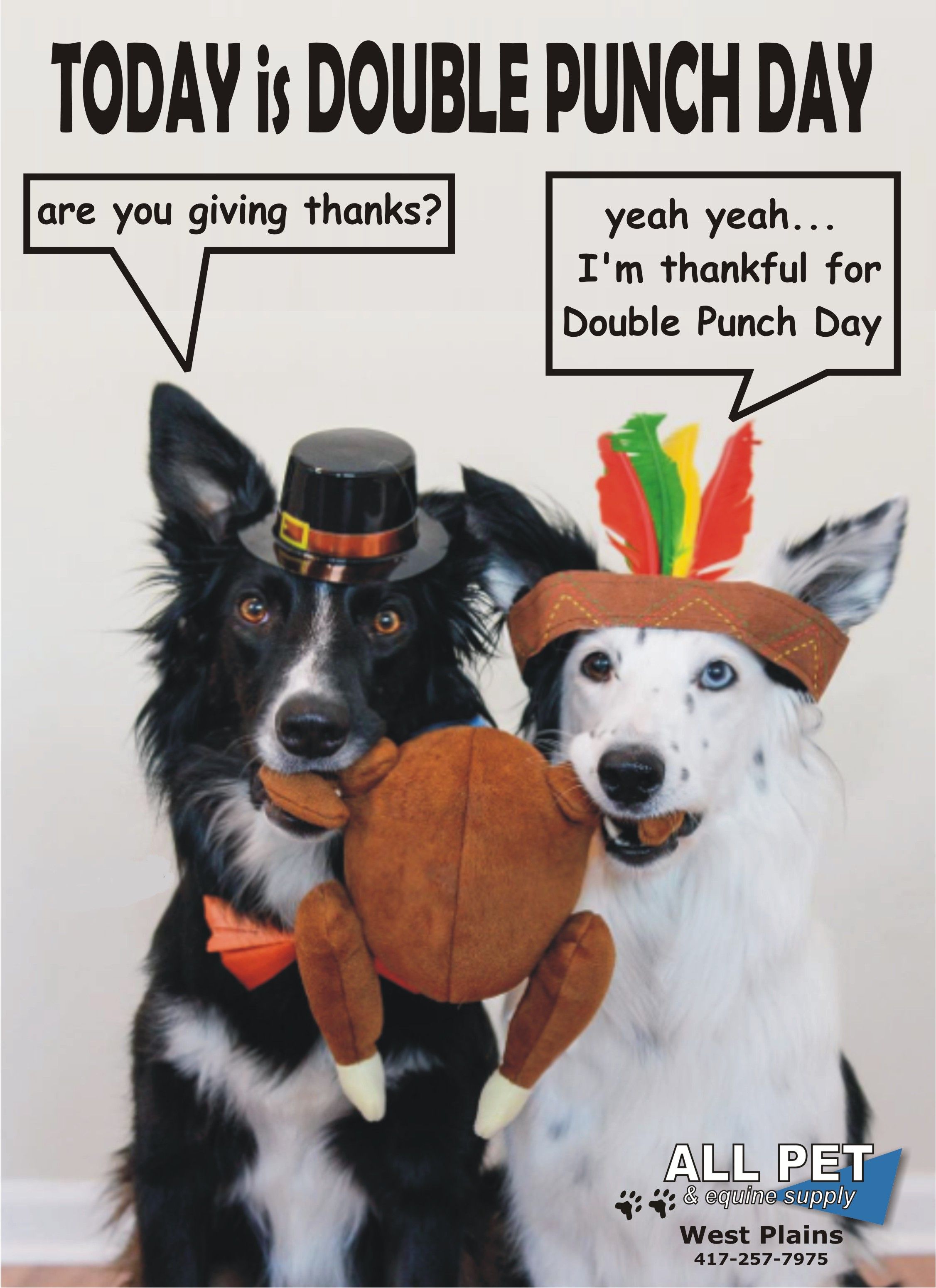 Dble Punch Day Nov 2022 - All Pet & Equine Supply