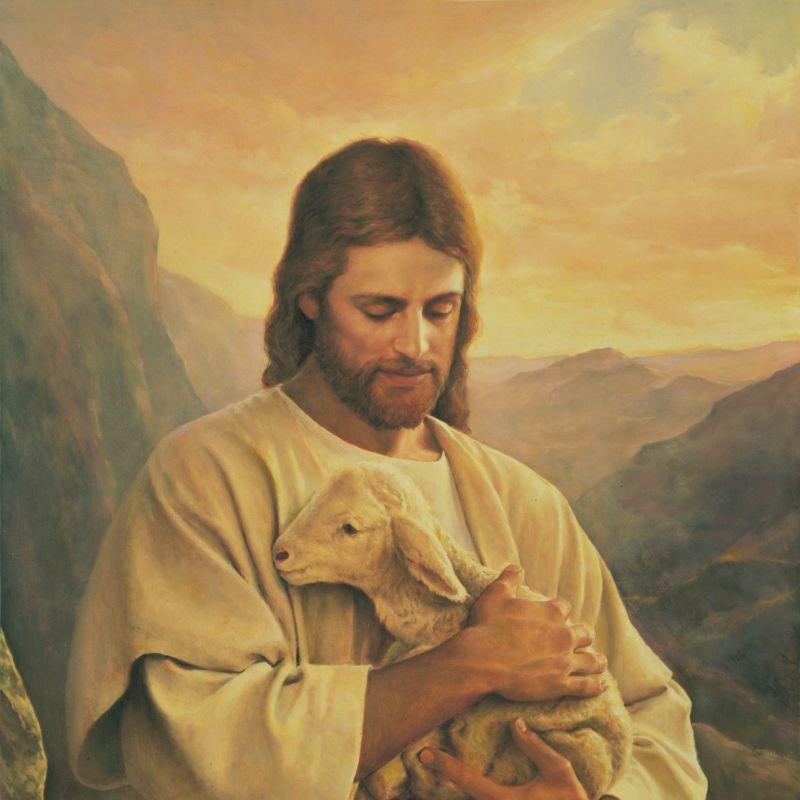 Langley YSA Ward - The Church of Jesus Christ of Latter-day Saints