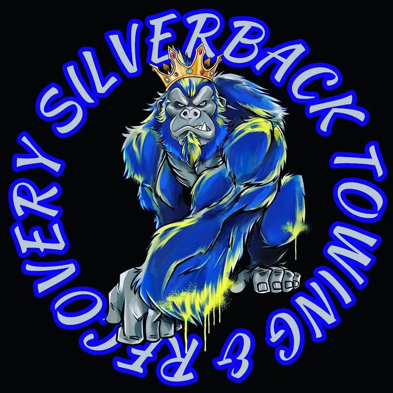 Silverback Towing & Recovery - Auto Transport - Minneapolis, MN 55426