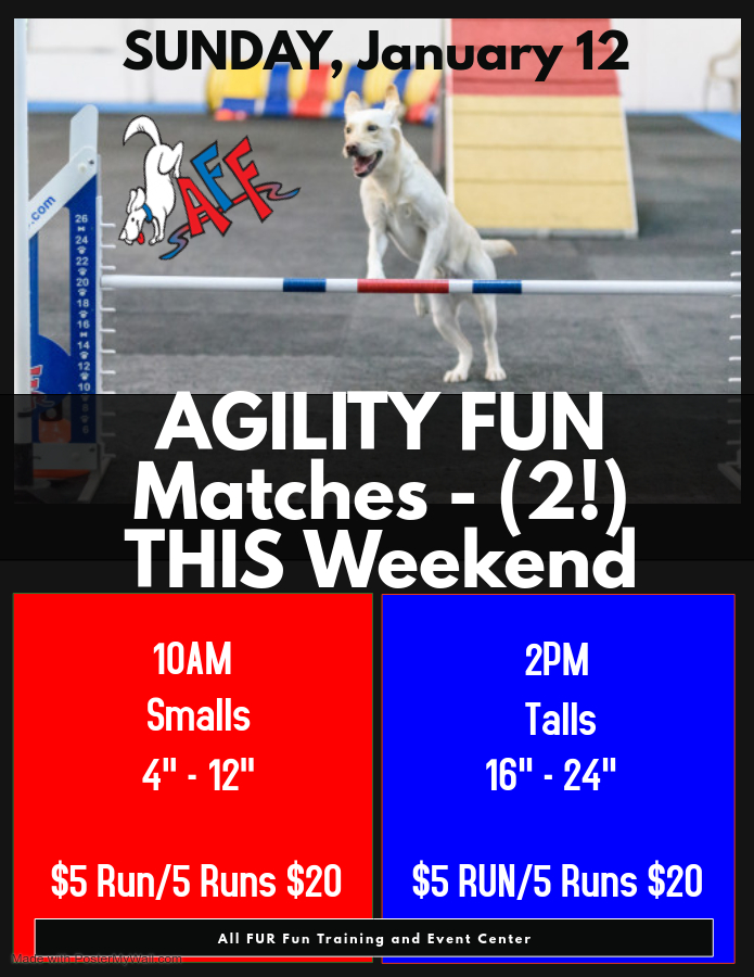 Agility FUN Matches 10am Smalls - 2pm Talls - All FUR Fun Training And ...