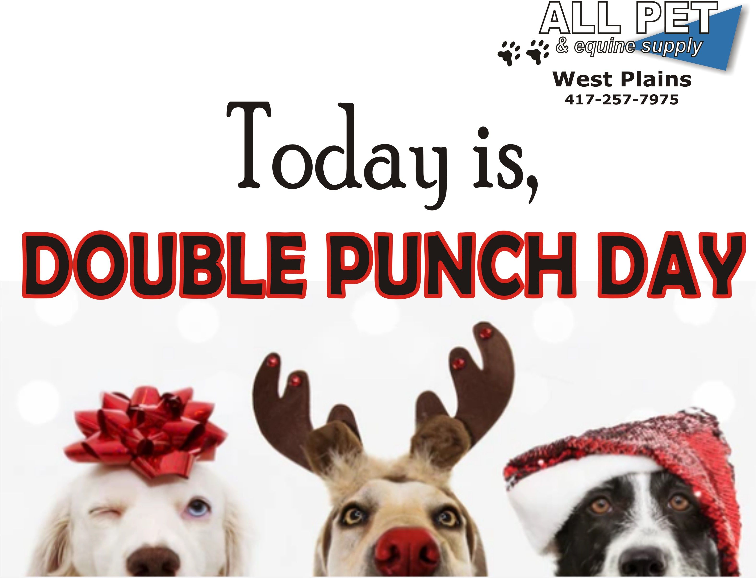 Double Punch Day 2022 - All Pet & Equine Supply