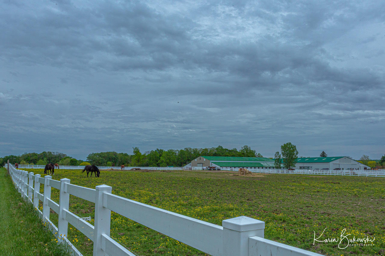 TRINITY EQUESTRIAN CENTER LLC