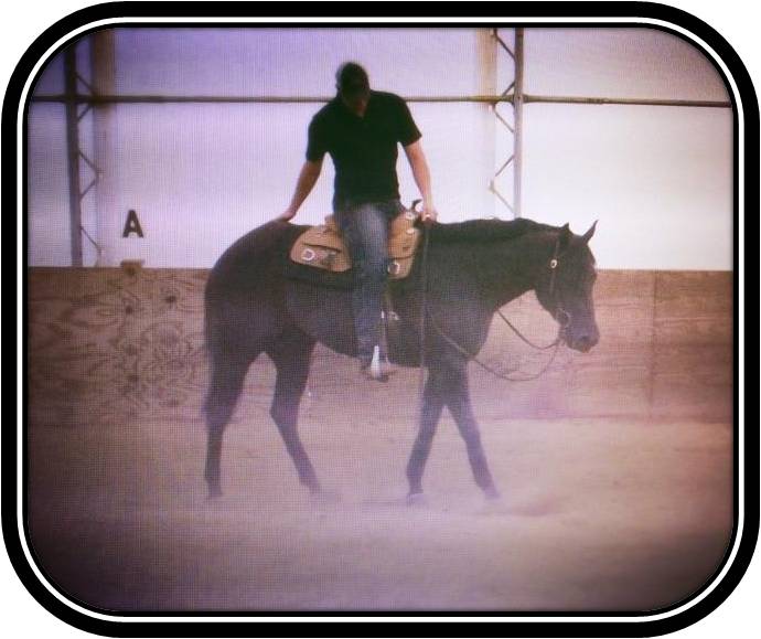 Silver Eagle Stable, 11506 Parkgate Drive, Nokesville, Virginia ...