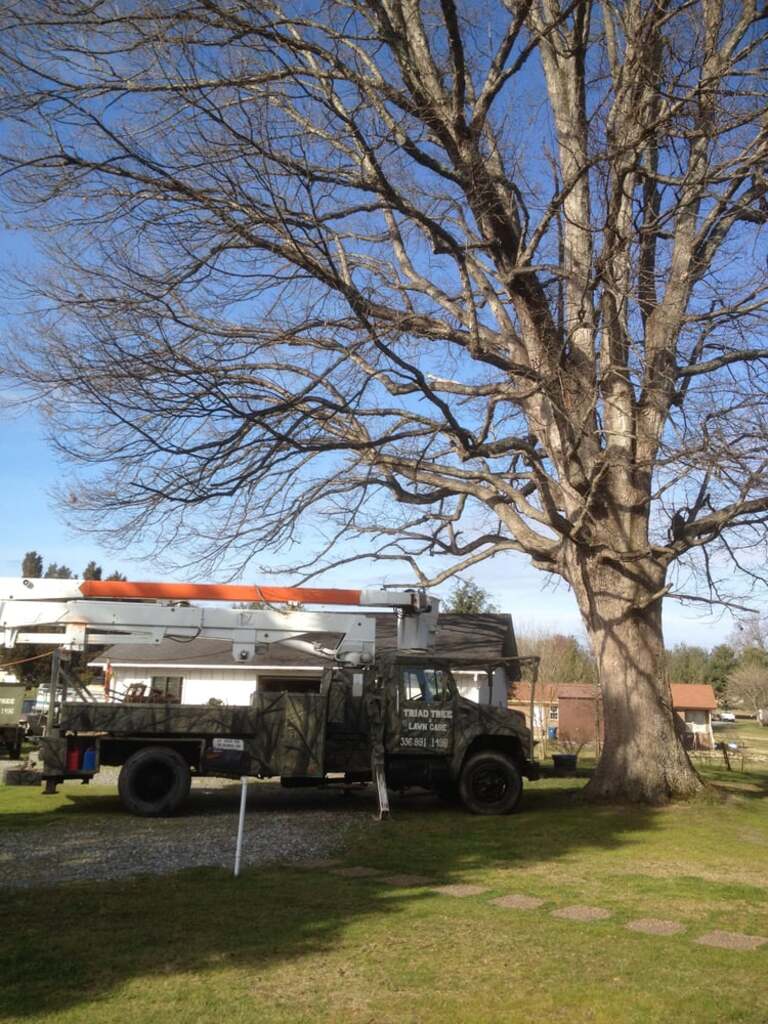 Triad Tree Roofing and Restoration - High Point, NC ...