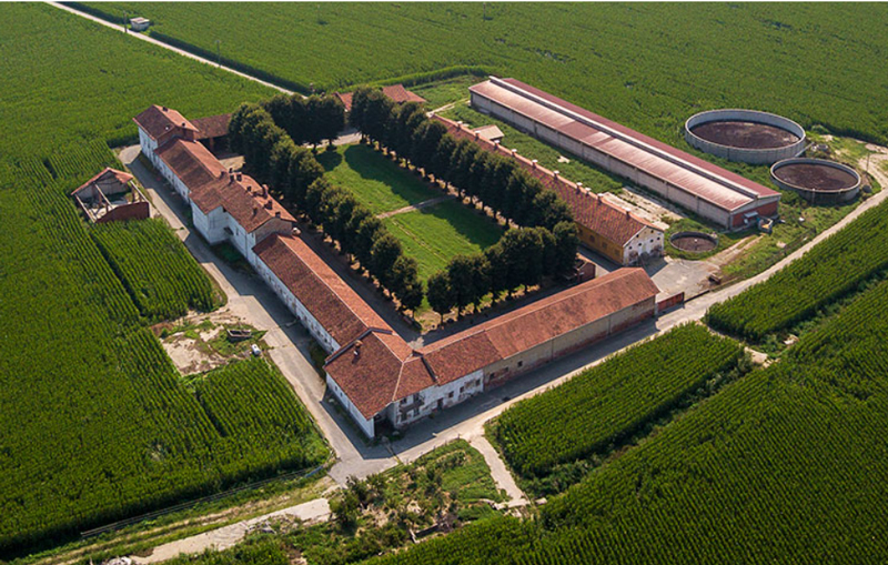 San Dan Prosciutti a San Daniele del Friuli, Macellerie, Macellerie ...