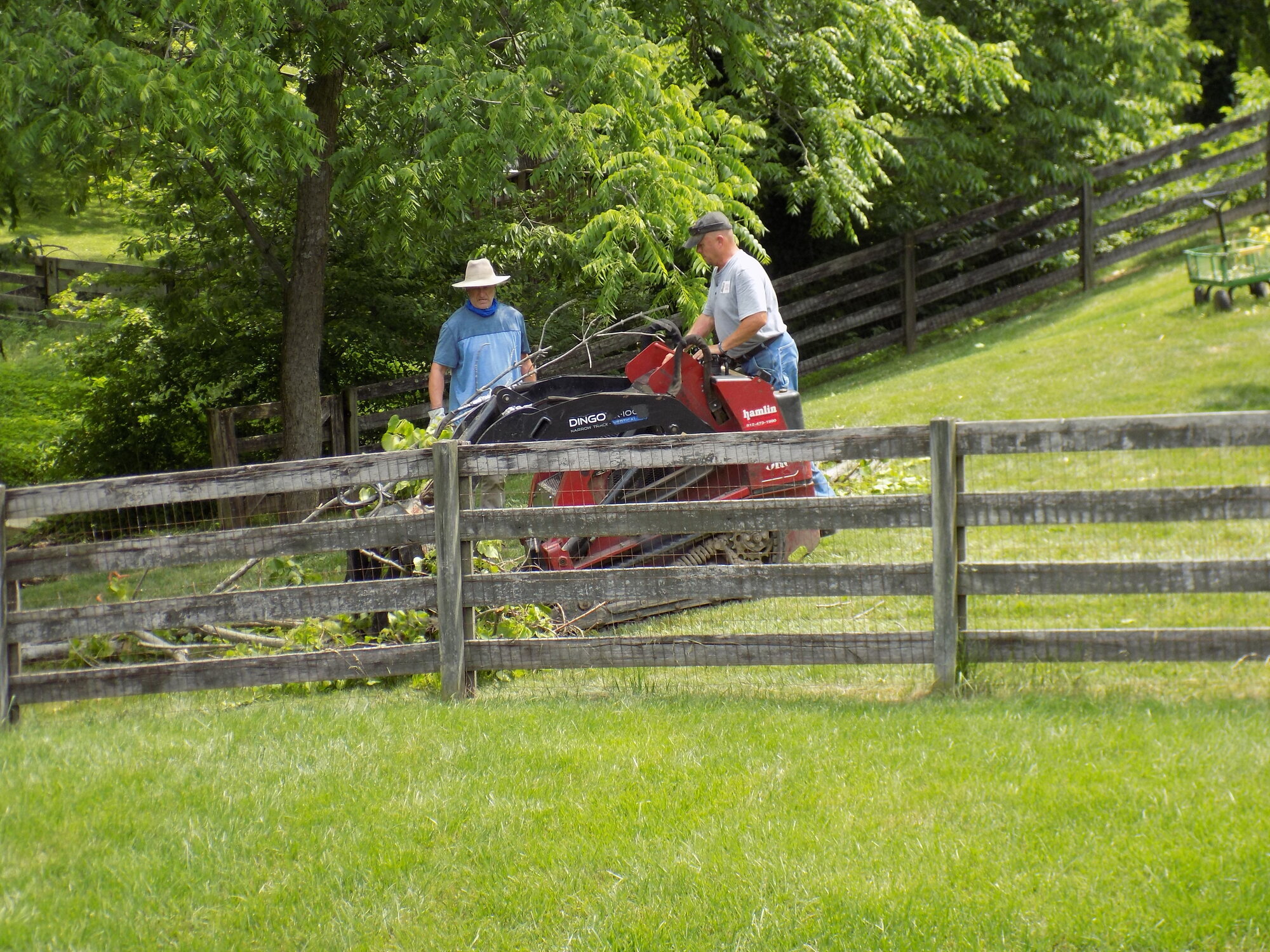 Fuzzy Beaver Tree Service - Tree Service - Burlington, KY 41005
