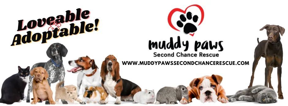 Muddy Paws Rescue Meet & Greet June 25th - Pet Central Station