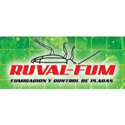 RUVAL FUMIGACIONES Y CONTROL DE PLAGAS SA DE CV