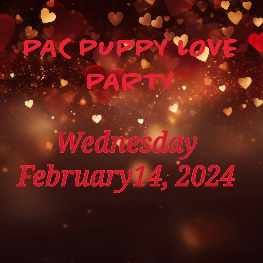 PAC Puppy Love Valentine’s Day Party - Pet Athletic Club