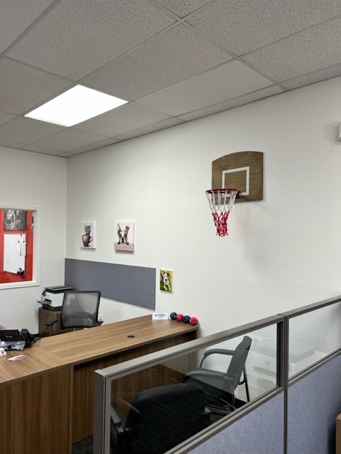 Sean Steimel - State Farm Insurance Agent - Insurance Agency - Grand ...