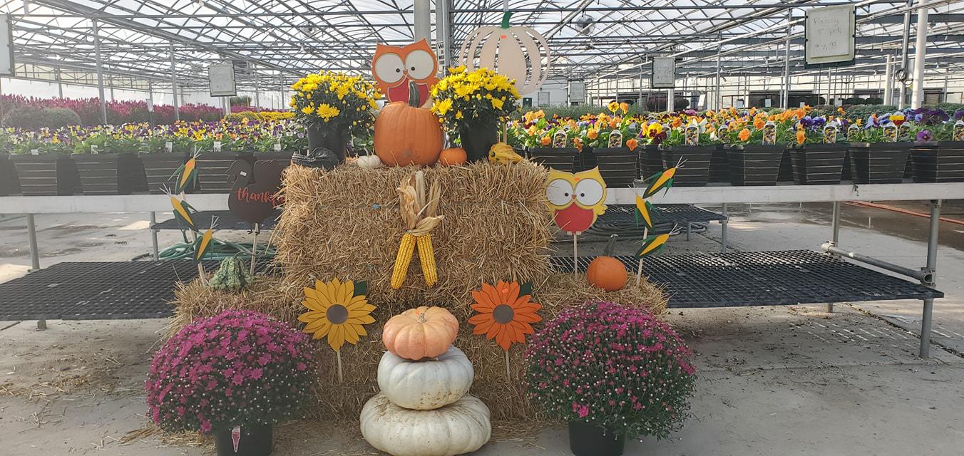 Schwartz's Greenhouse - Garden Center - Romulus, MI 48174
