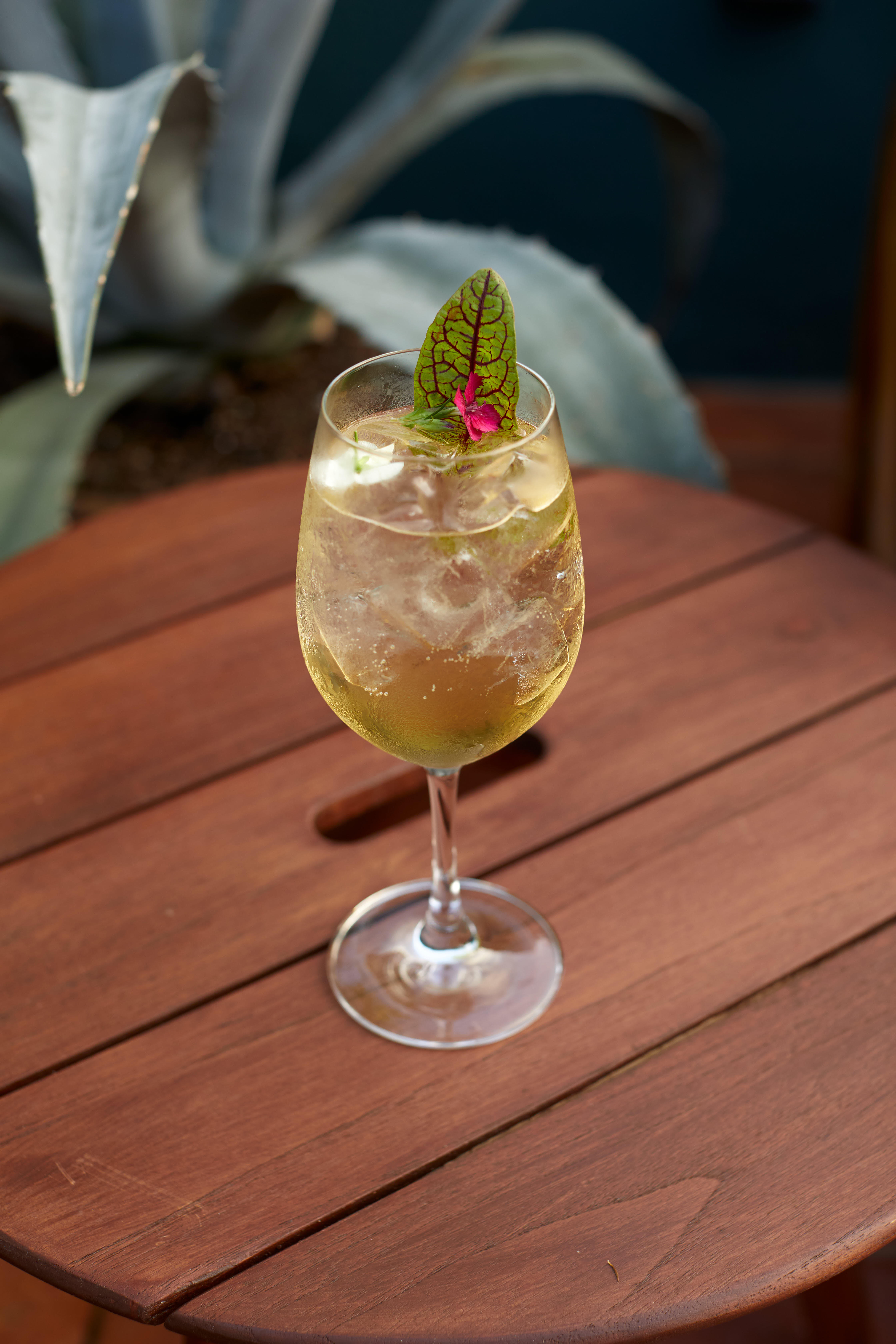 Mapstr - Bar Terras Miami - Rooftop, Restaurant, Cocktails, Terrasse ...