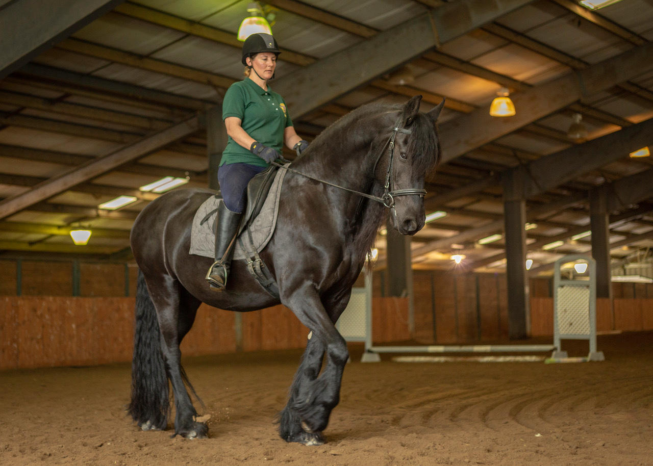 TRINITY EQUESTRIAN CENTER LLC