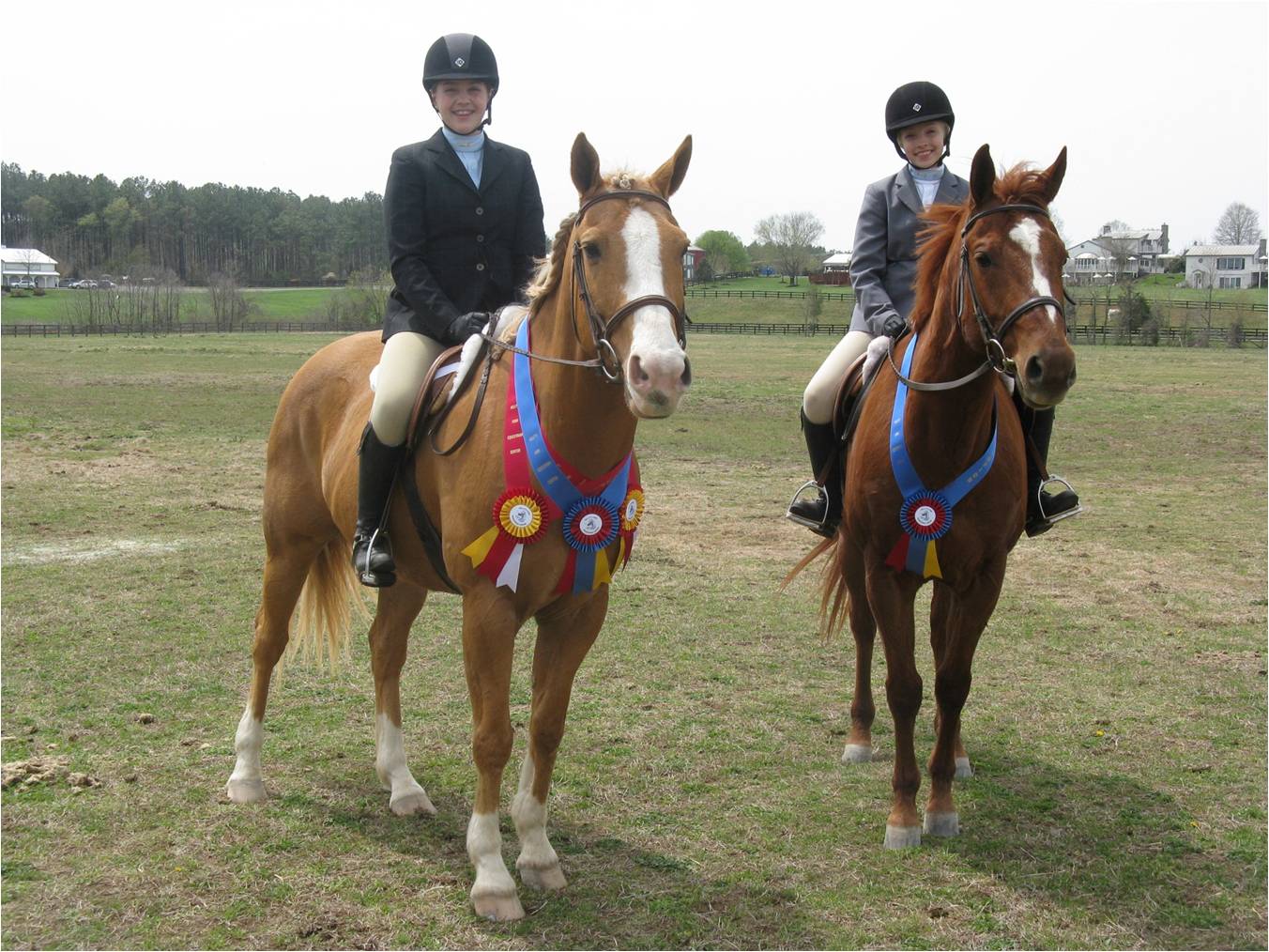 Silver Eagle Stable, 11506 Parkgate Drive, Nokesville, Virginia ...