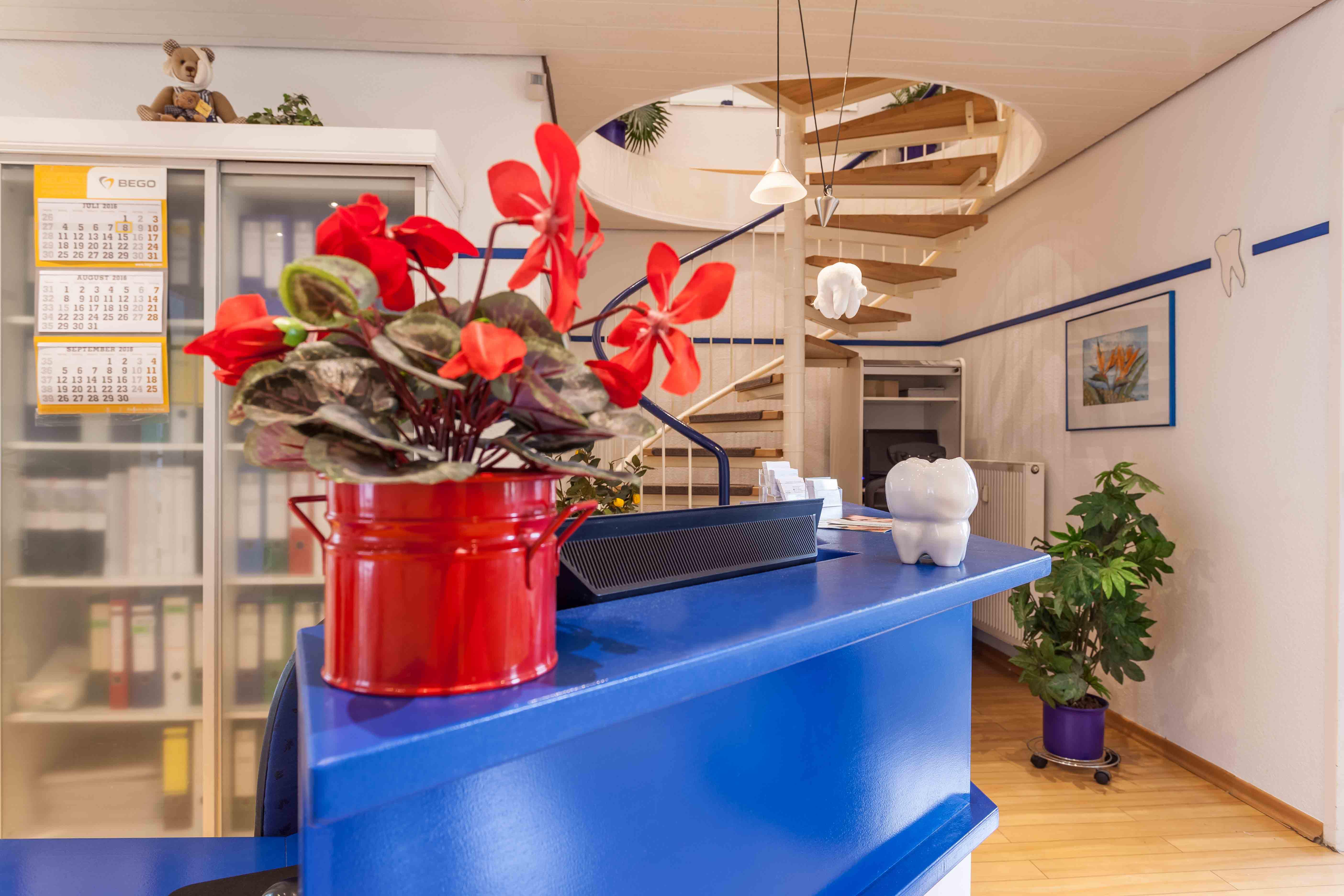 Zahnarzt in Köln, prophylaxe