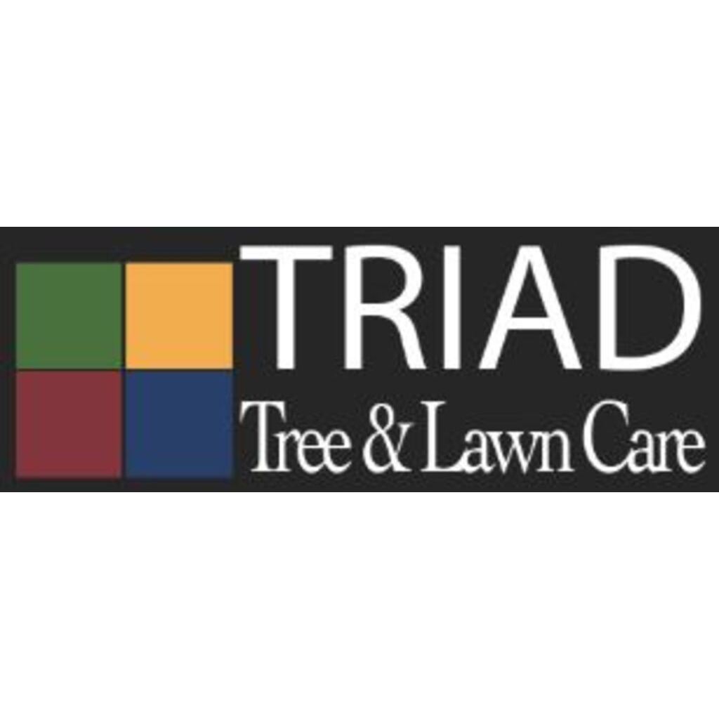 Triad Tree Roofing and Restoration - High Point, NC ...