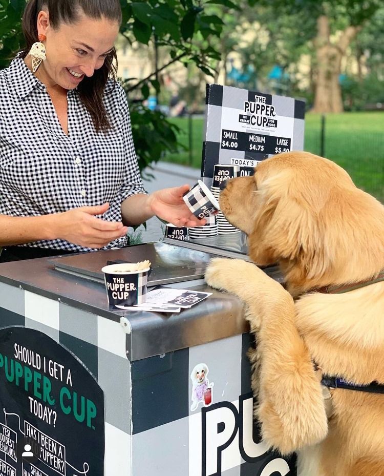 Puppercup Ice Cream Cart For Dogs Pop-up Shop - My Natural Pet