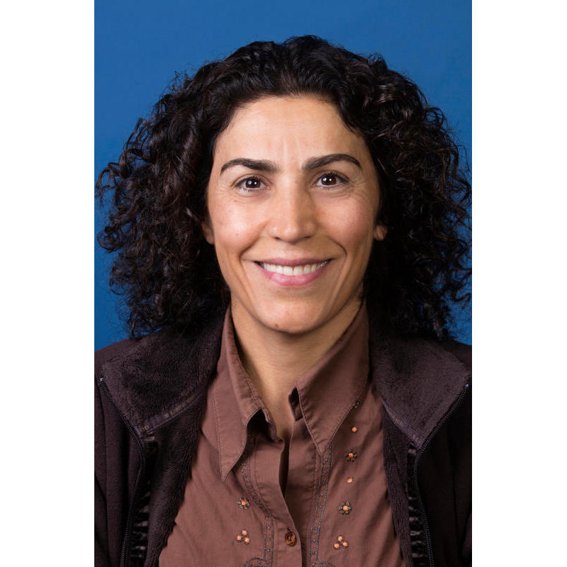 Northwell Health Neurology: New Hyde Park, NY