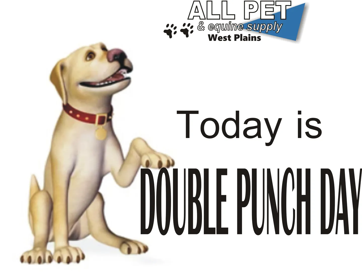 Double Punch Day Aug 2024 - All Pet & Equine Supply