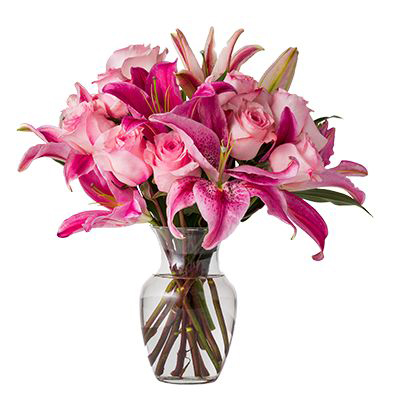 Debi Lilly Flowers Care | Best Flower Site