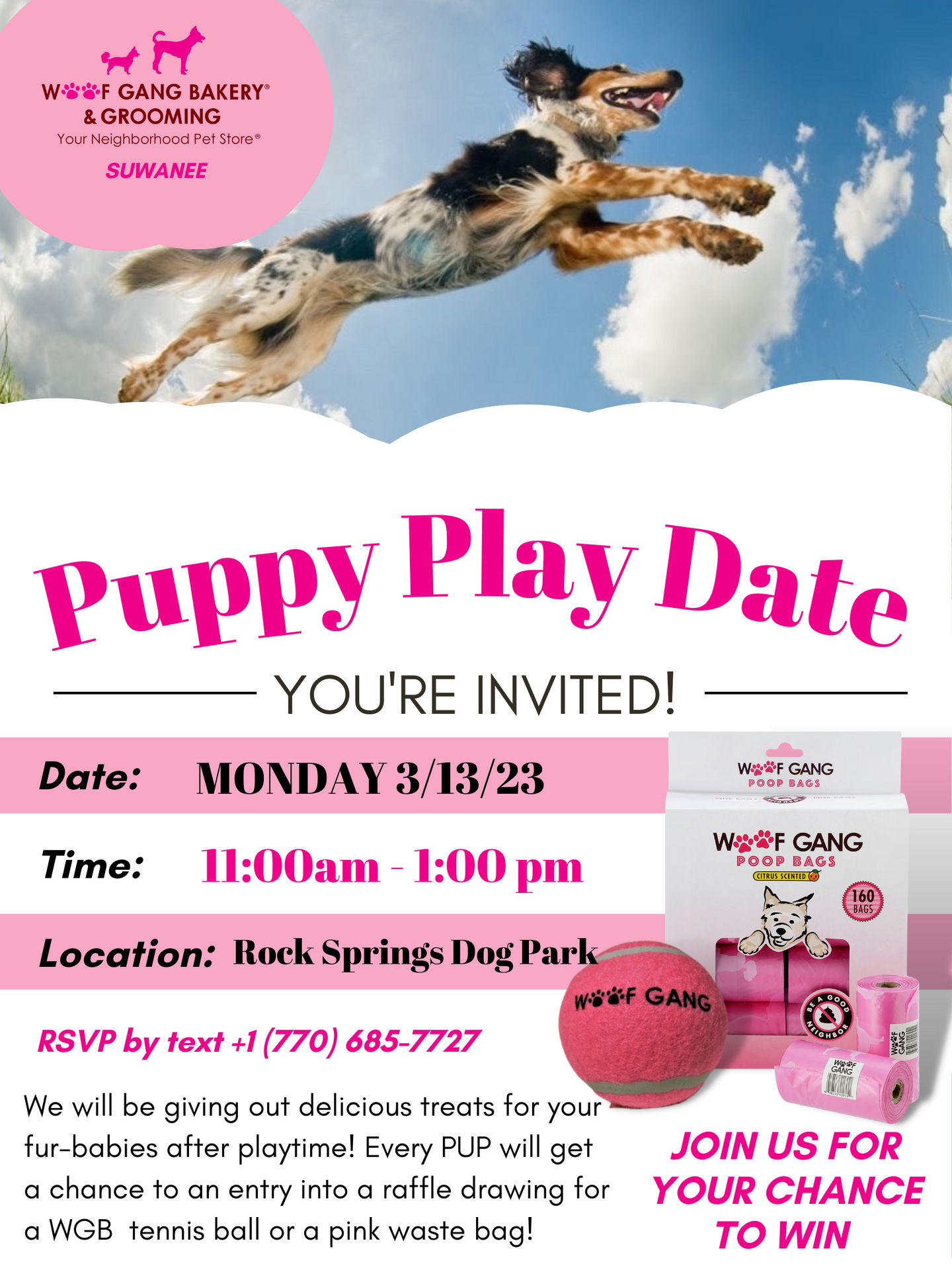 PUPPY PLAY DATE - Woof Gang Bakery & Grooming Suwanee