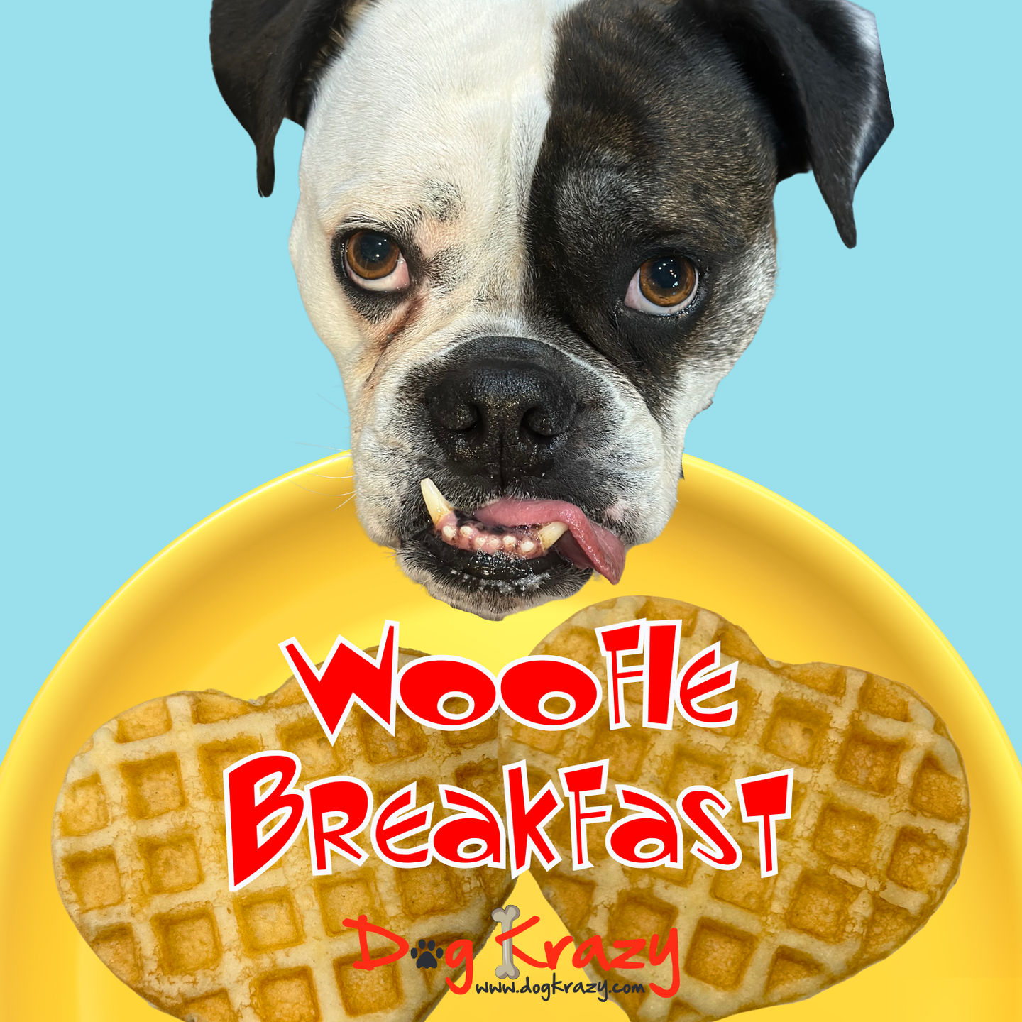 Dog Krazy, Inc. Pet Food Supply Store Fredericksburg VA - Shop Now!