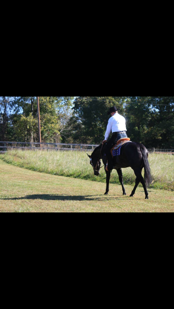 Silver Eagle Stable, 11506 Parkgate Drive, Nokesville, Virginia ...