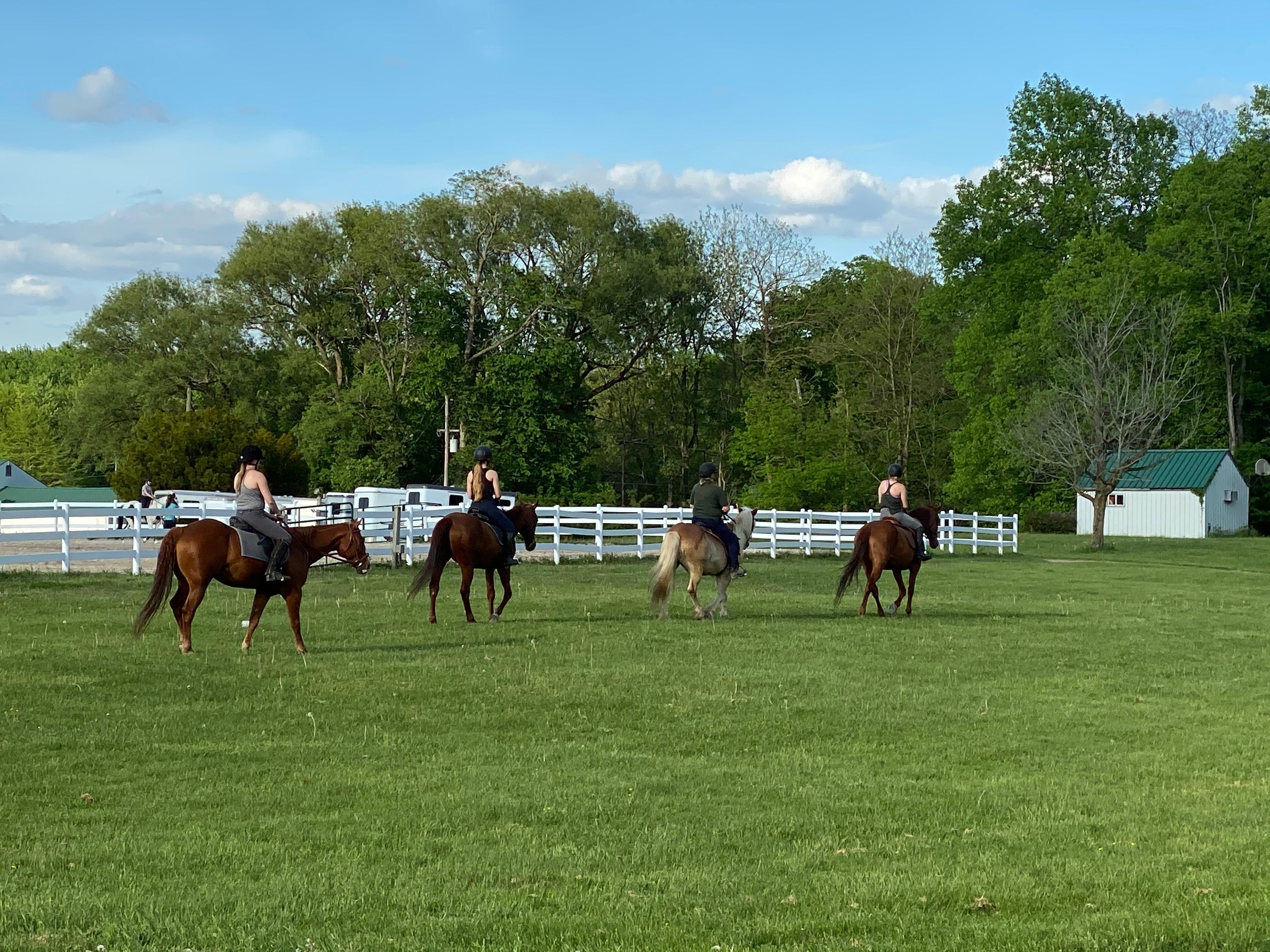 TRINITY EQUESTRIAN CENTER LLC