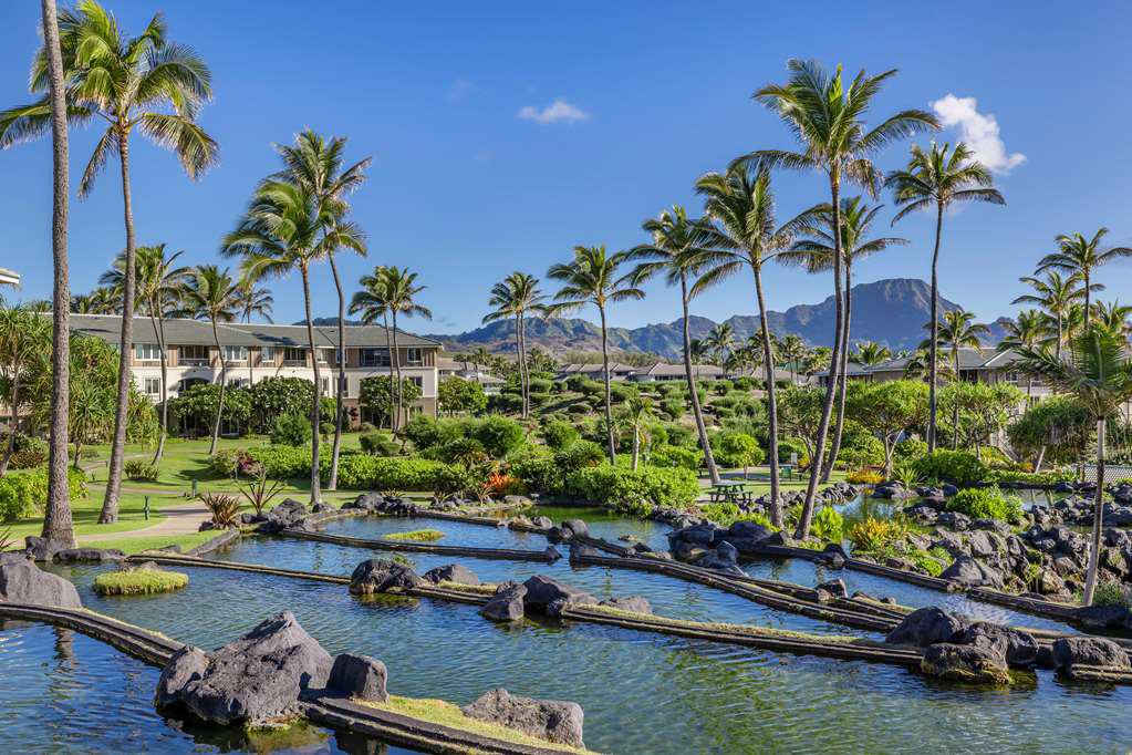 Hilton Vacation Club The Point at Poipu Kauai, 1613 Pe'E Road, Koloa ...